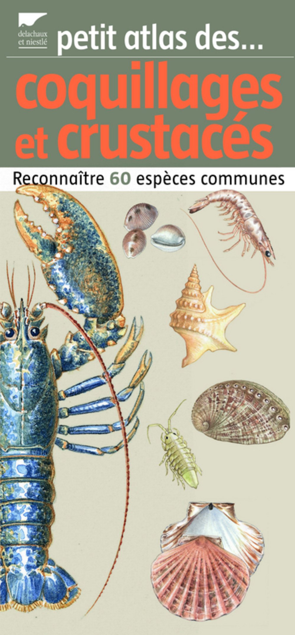 Petit atlas des coquillages et crustacés - Faune Sauvage