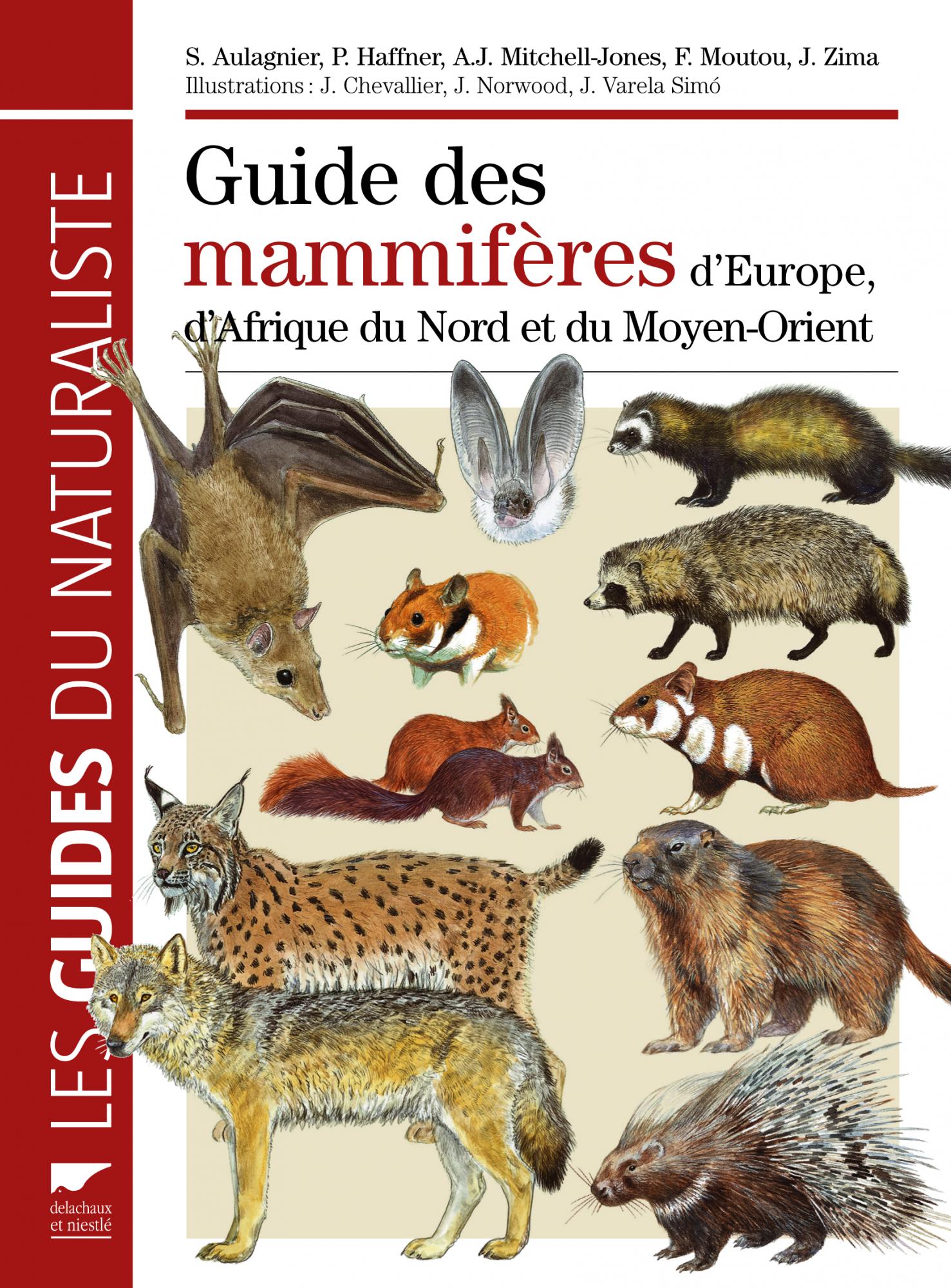 Mammifères - Faune Sauvage