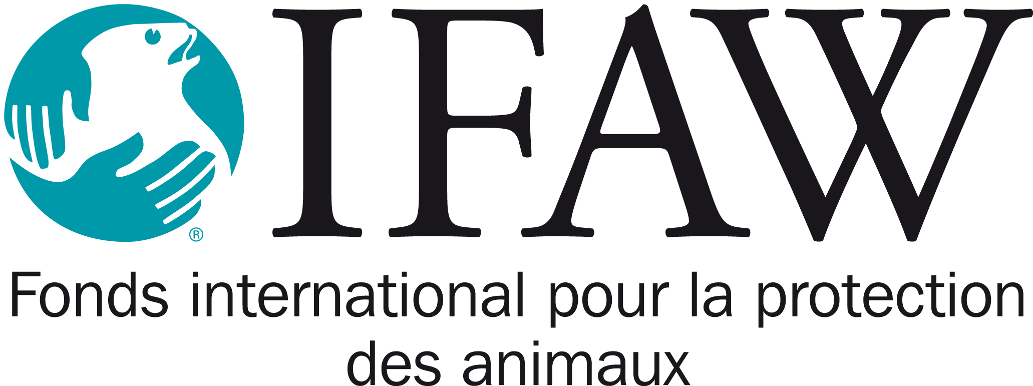 Nouvelle campagne de communication de l'IFAW - Faune Sauvage