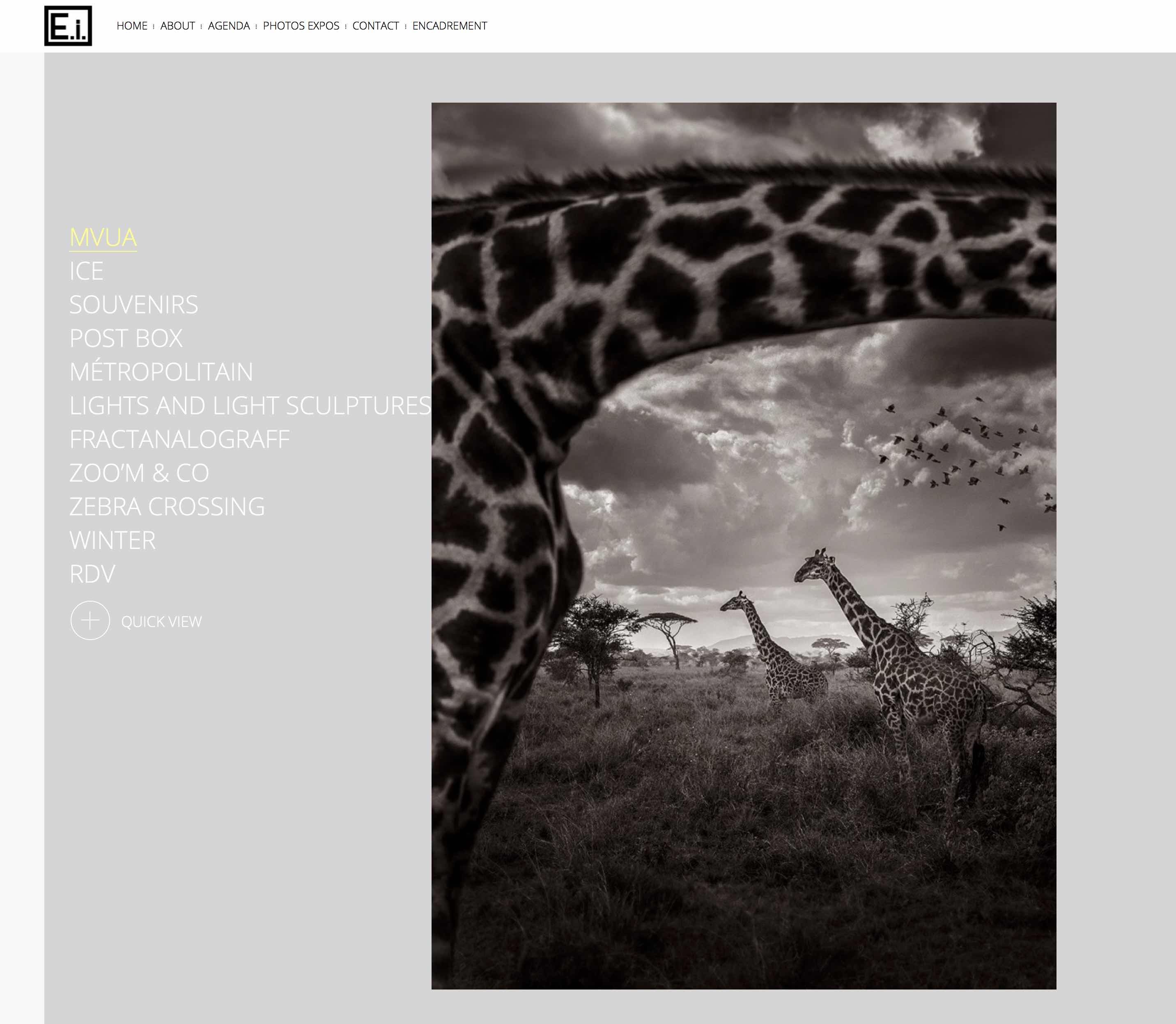 Eric ISSELEE - Faune Sauvage