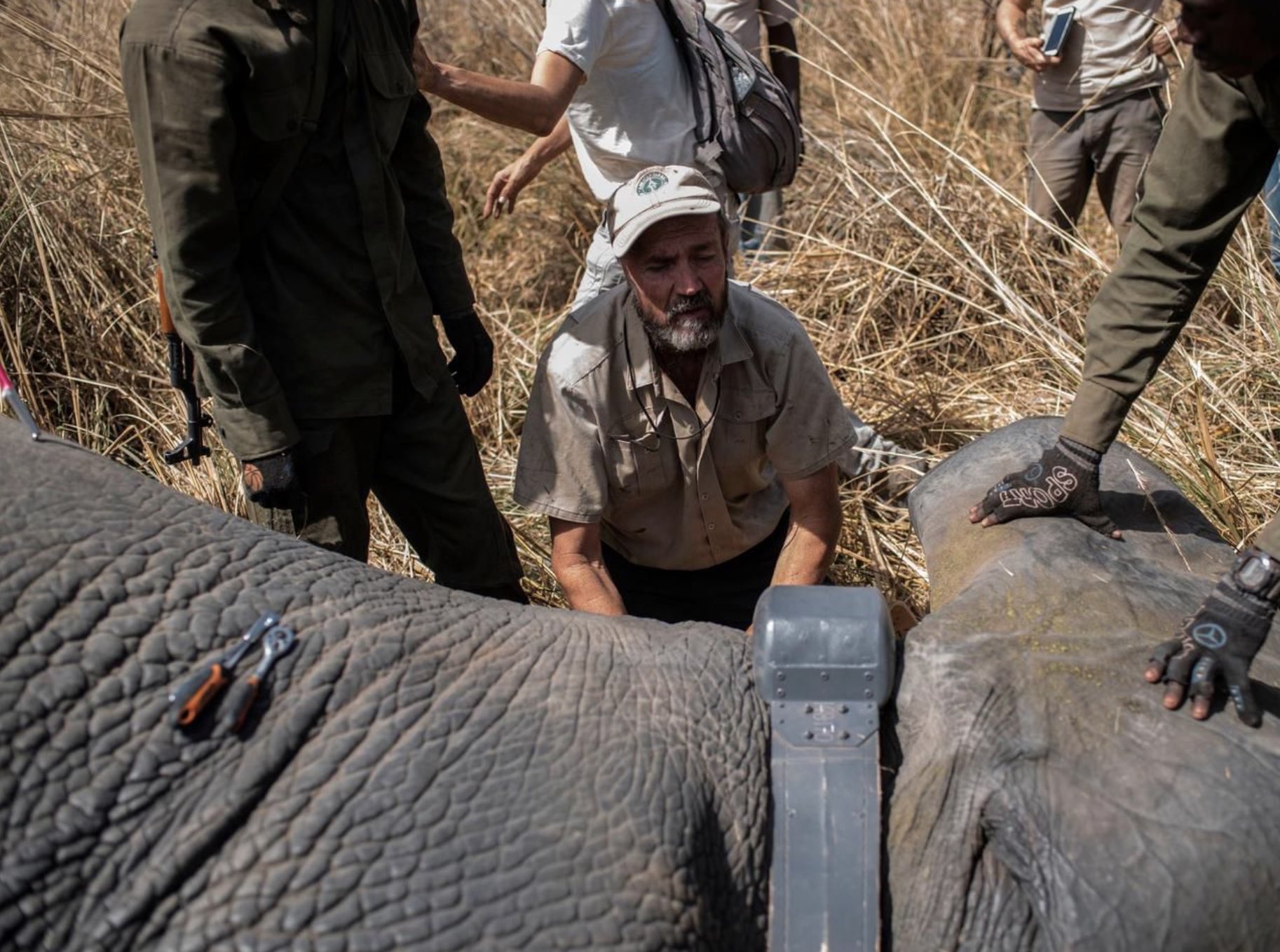 Bénin : ils veulent créer un sanctuaire pour les éléphants - Faune Sauvage