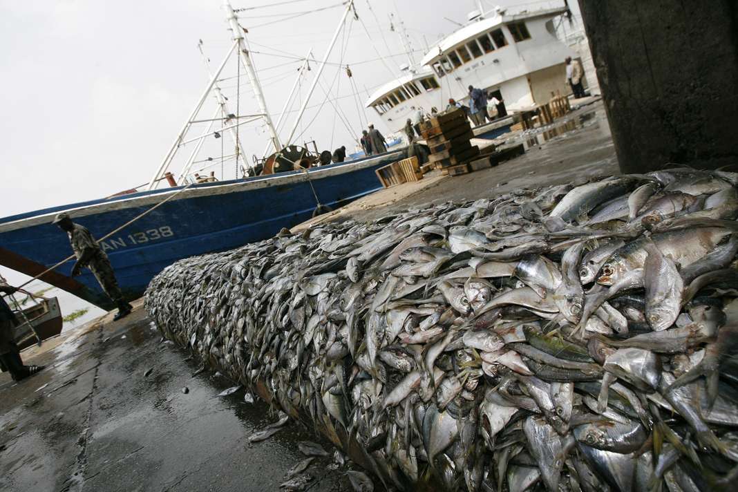 La pêche industrielle exploite plus de la moitié de la superficie des ...