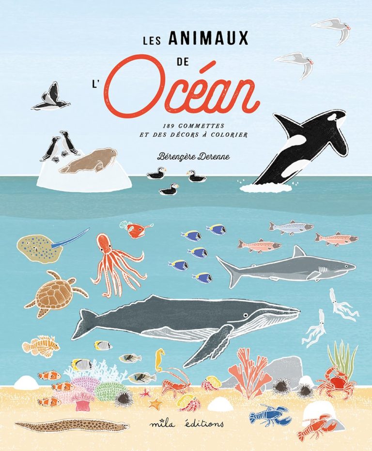 Les animaux de l'océan - Faune Sauvage