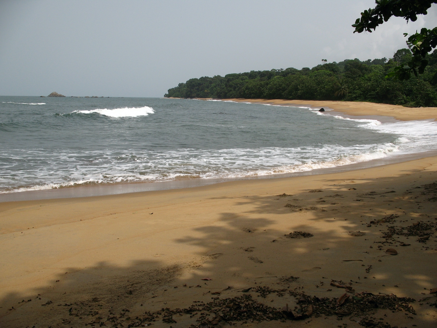 Bonne nouvelle pour l’environnement africain : Première Aire marine ...
