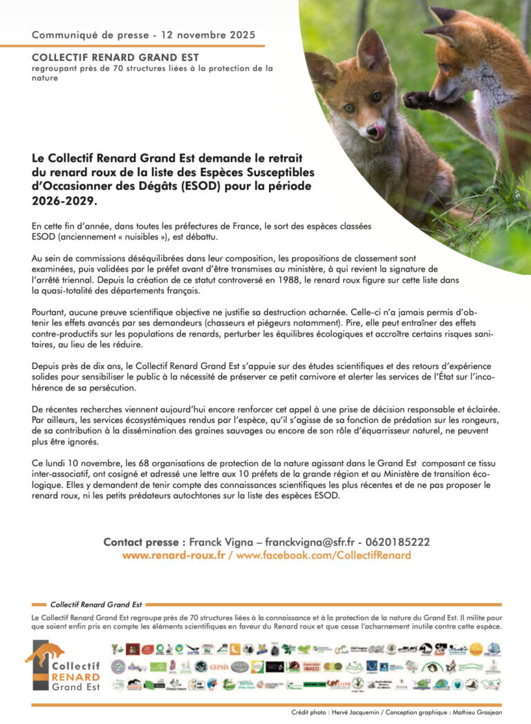 Retrait du Renard de la nouvelle liste des ESOD! - Faune Sauvage